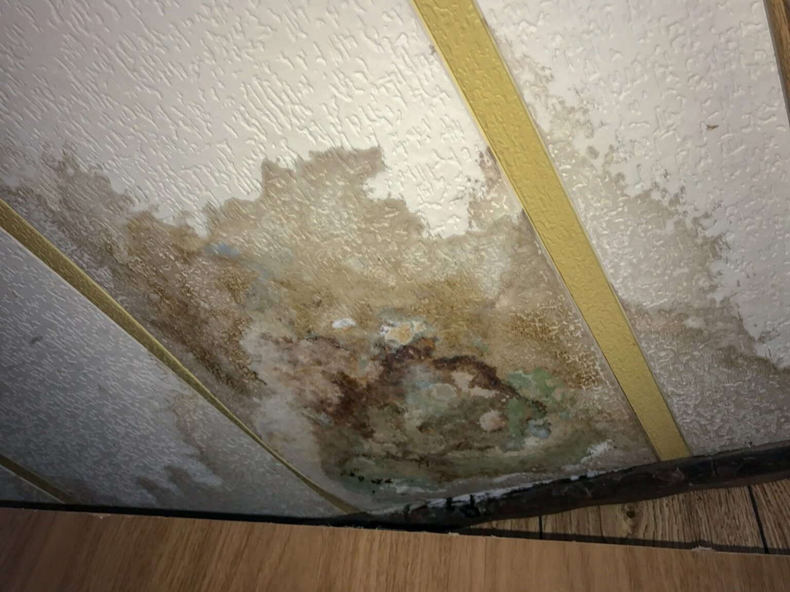Best Ways to Fix Water-Damaged Ceilings in Vancouver’s Rainy Season
